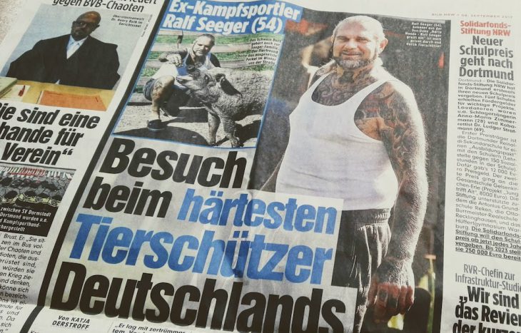 Groß rausgekommen: Ralf Seeger heute in Bild